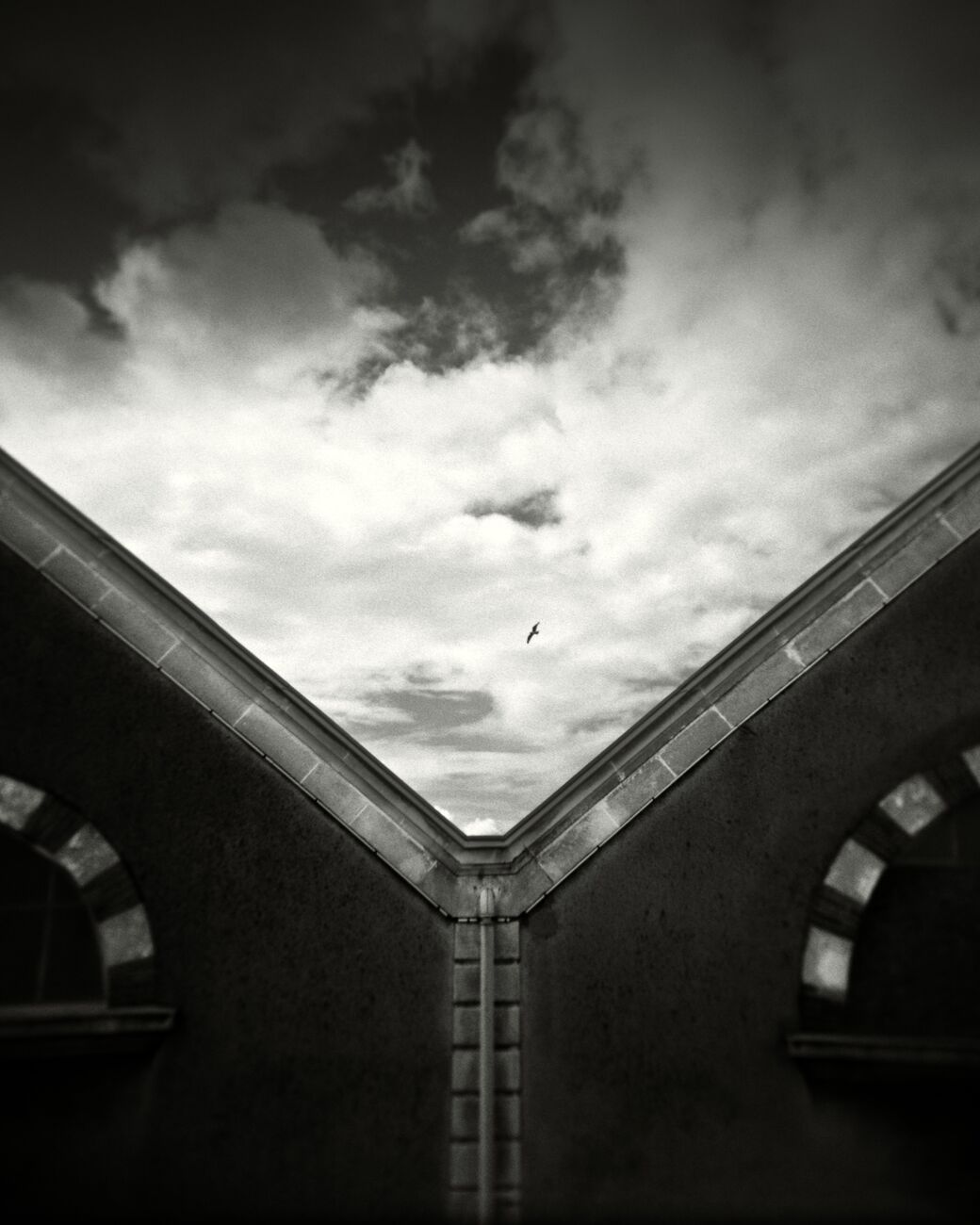Seagull Flying, Saint-Nazaire, France. August 2021. Ref-11837 - Denis ...