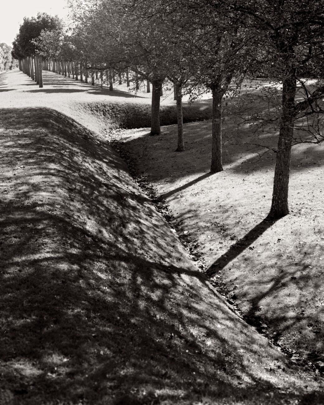 The Garden Of Peace, German Cemetery, La Cambe, Normandy, France ...
