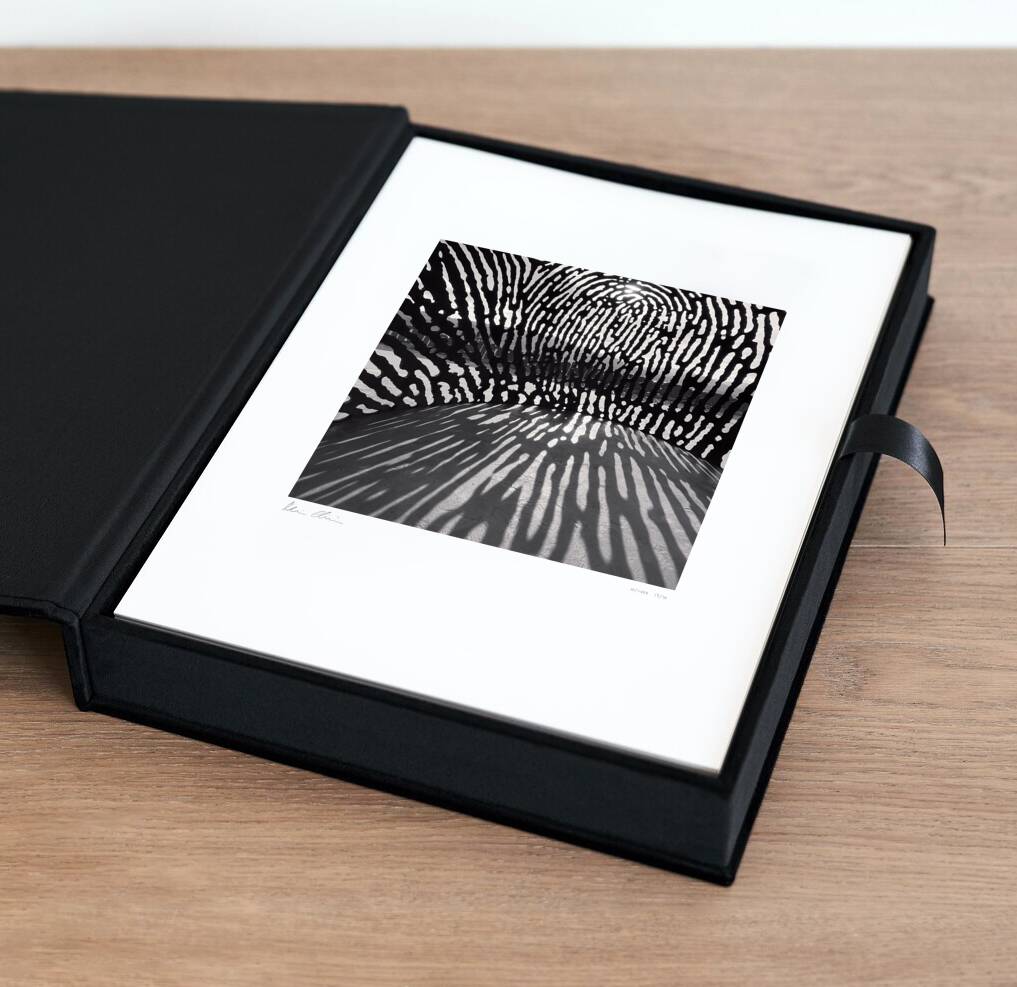 Aterpe Fingerprint Sculpture, Bilbao, Spain. February 2022. Ref-11591 ...