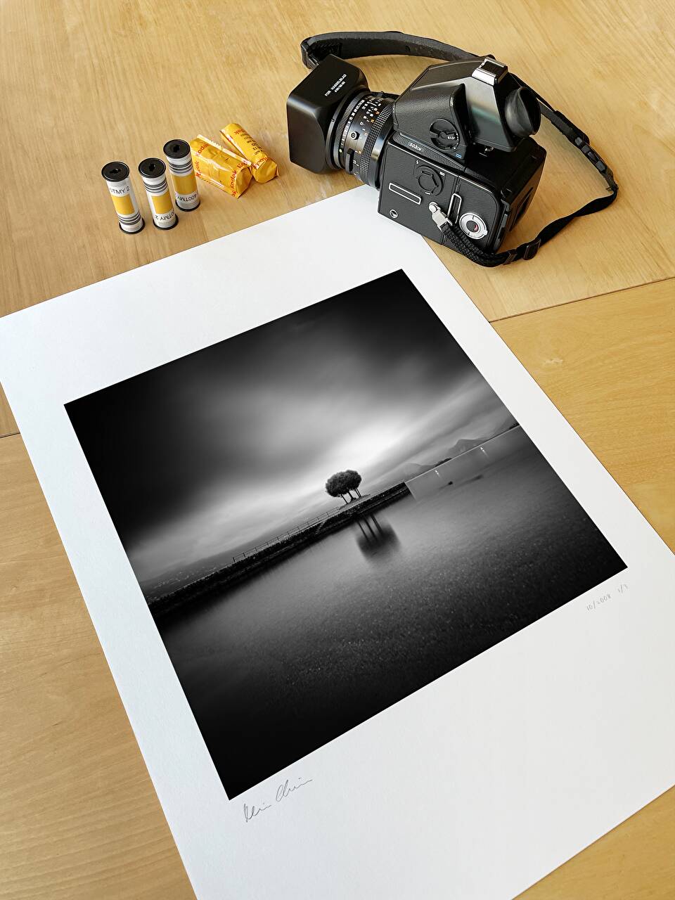 Trees On Pier, Etude 1, Lake Maggiore, Italy. August 2014. Ref-11451 - Denis Olivier Art Photography