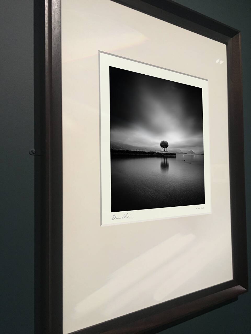 Trees On Pier, Etude 1, Lake Maggiore, Italy. August 2014. Ref-11451 - Denis Olivier Art Photography